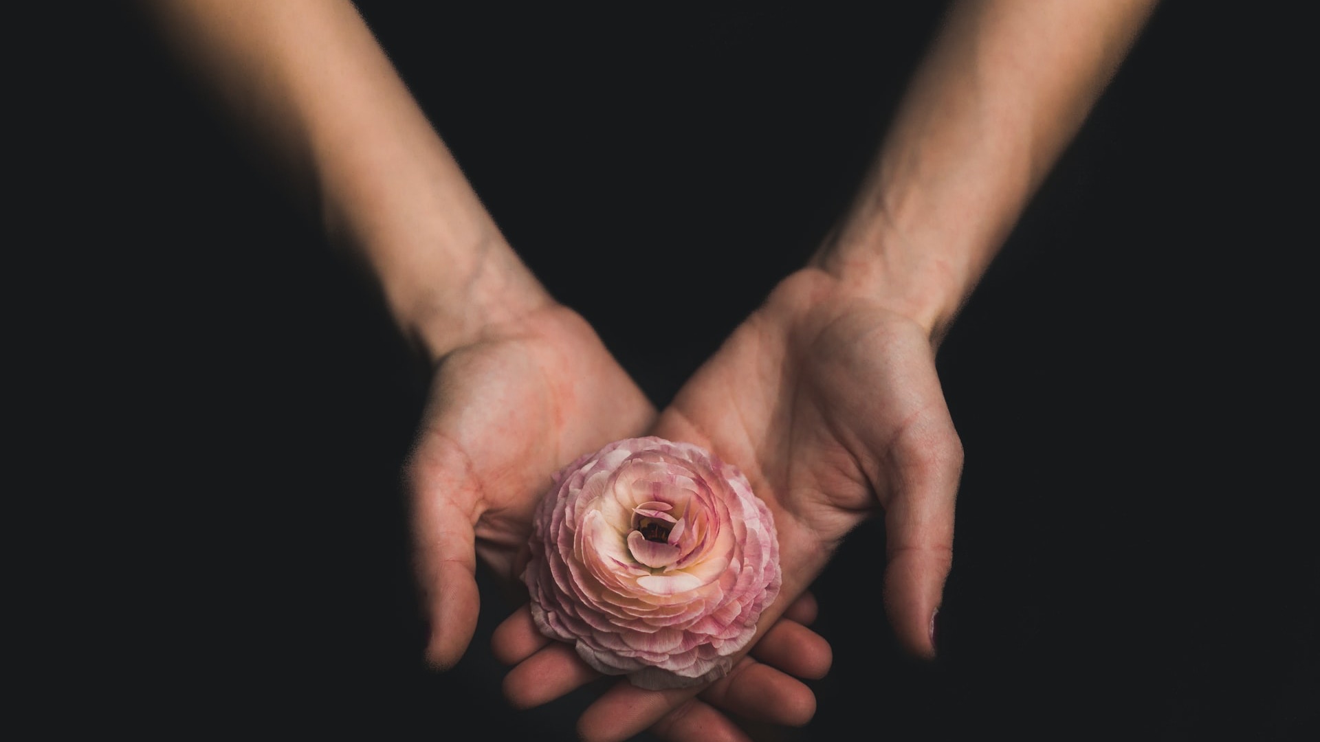 Evolve with us - Career @Evolve Beings is all about Tantra, Kamasutra ...